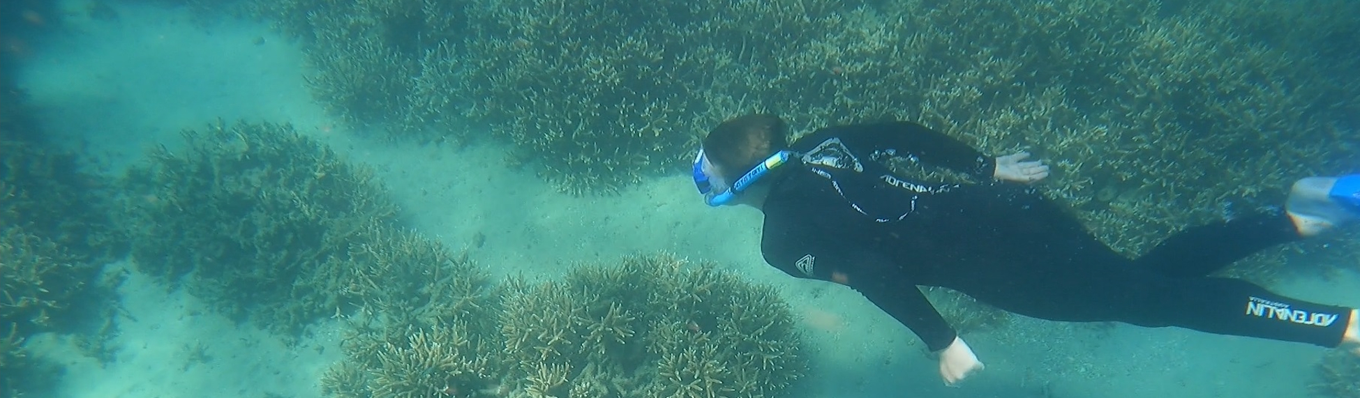 Mount Morgan State High School